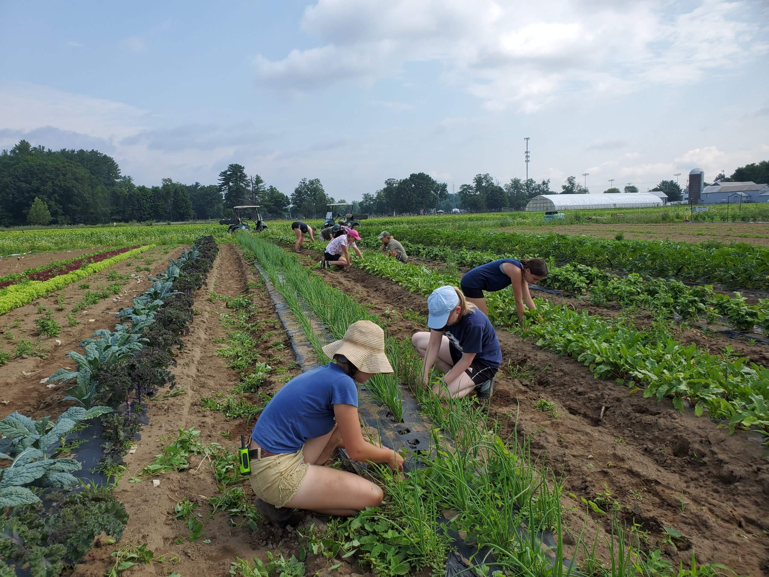 Agricultural Fields – Pitney Meadows Community Farm – Saratoga Springs, NY