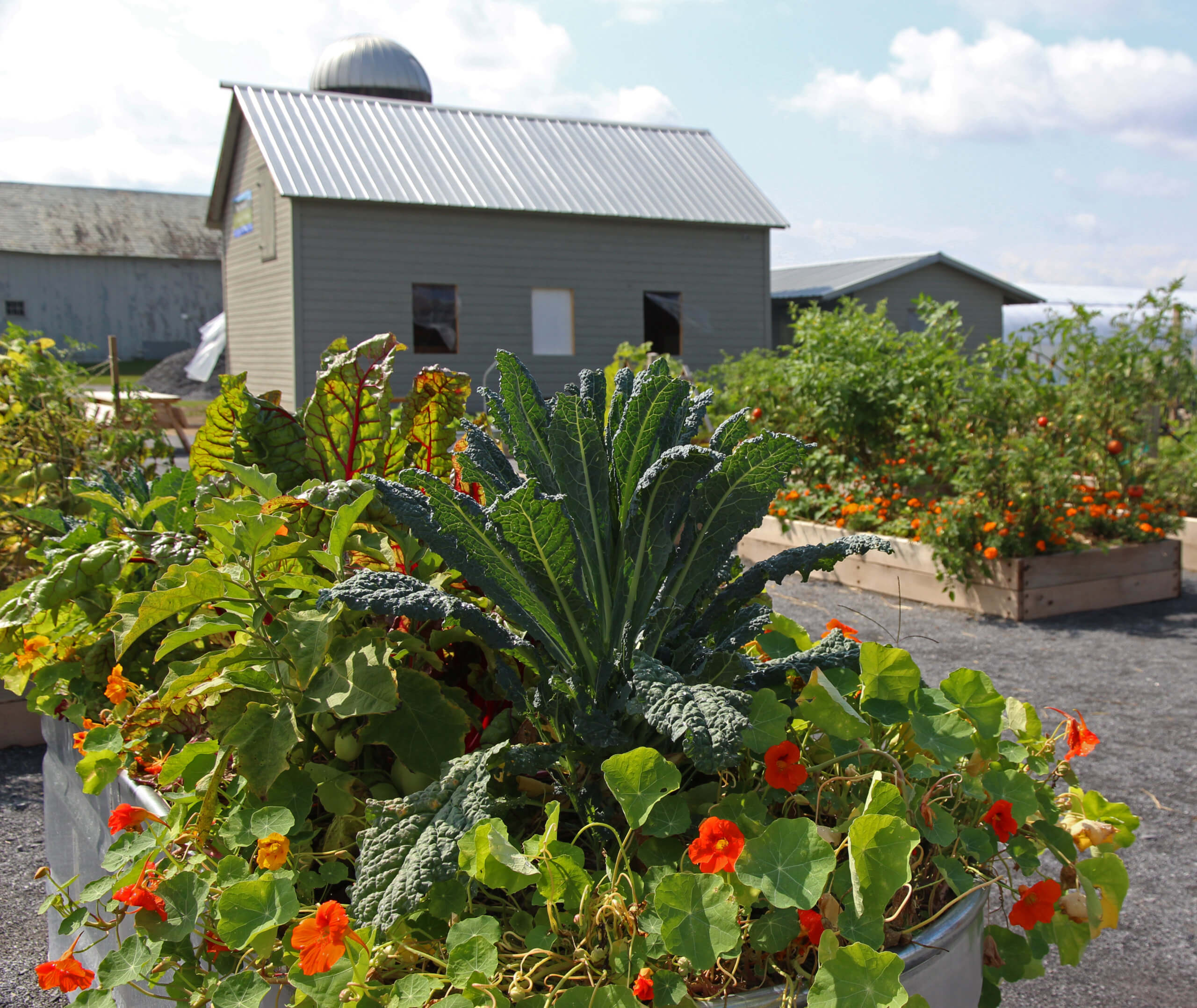 Event: Earth Day Celebration with Joe and Jesse Bruchac of the Ndakinna ...