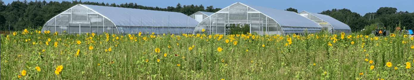 Letter from the Executive Director: Let’s Root for One Another – Pitney ...