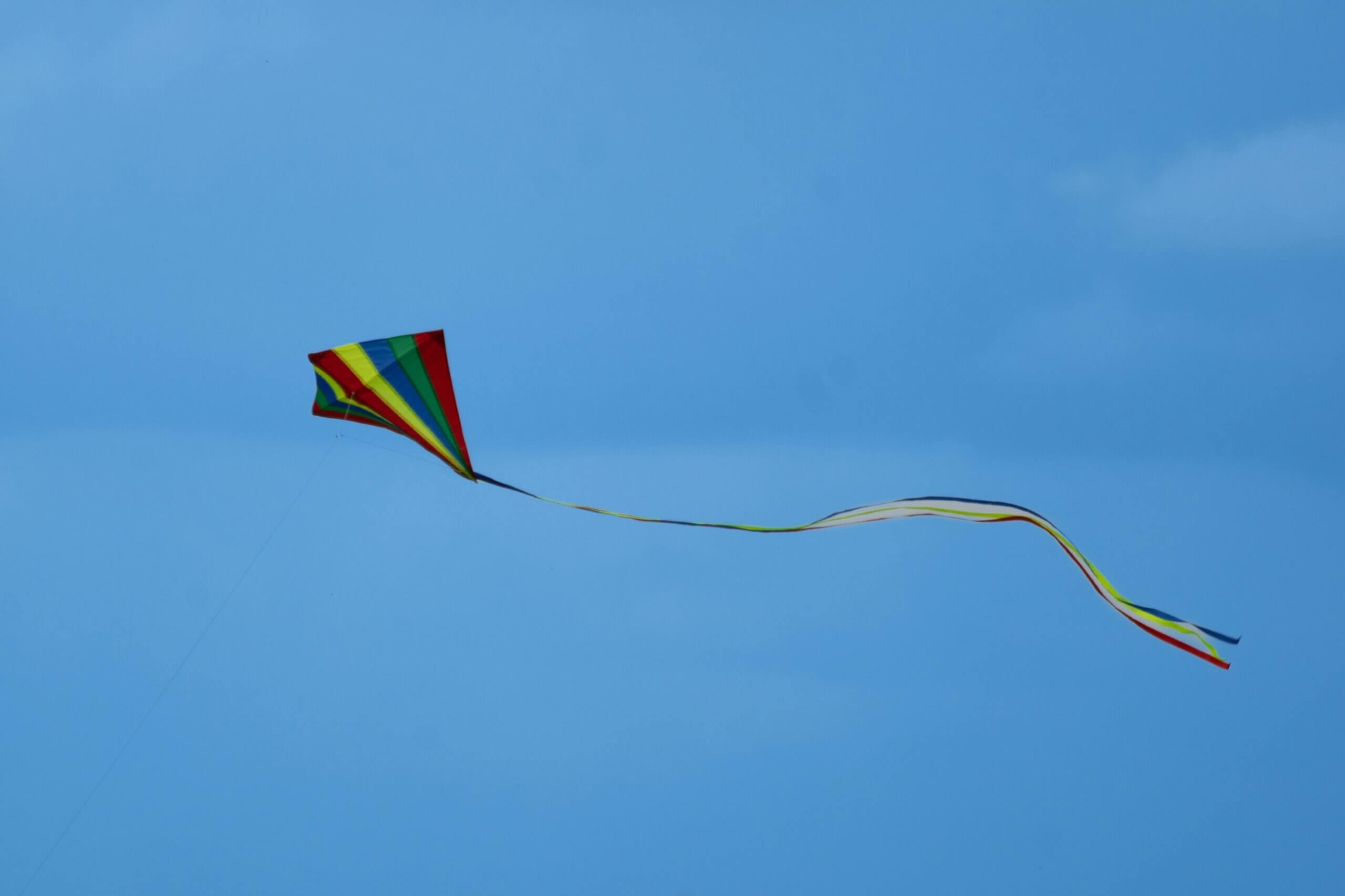 This Summer, Unplug To Grow: Pitney Meadows Community Farm And Brave ...